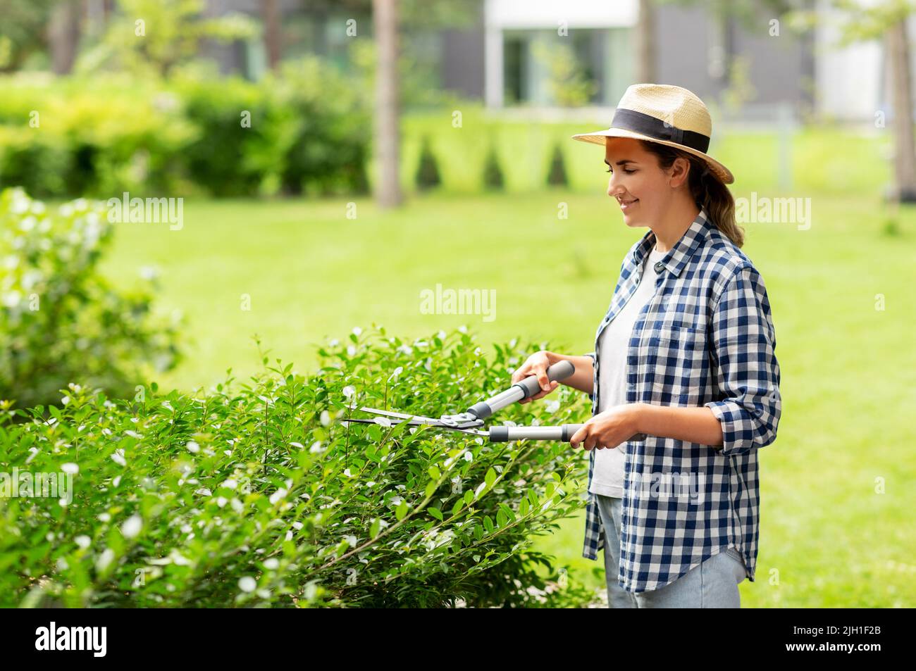 Suburban tree prune hi-res stock photography and images - Alamy