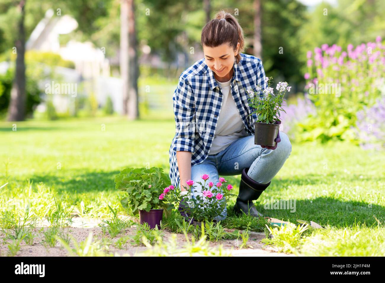 Woman planting summer flowers hi-res stock photography and images - Alamy