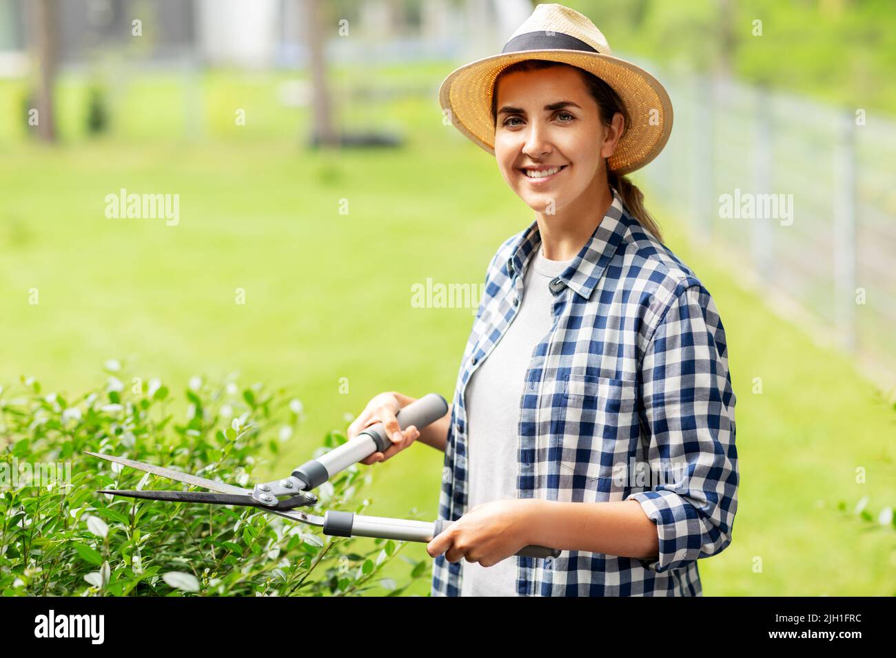 Suburban tree prune hi-res stock photography and images - Alamy