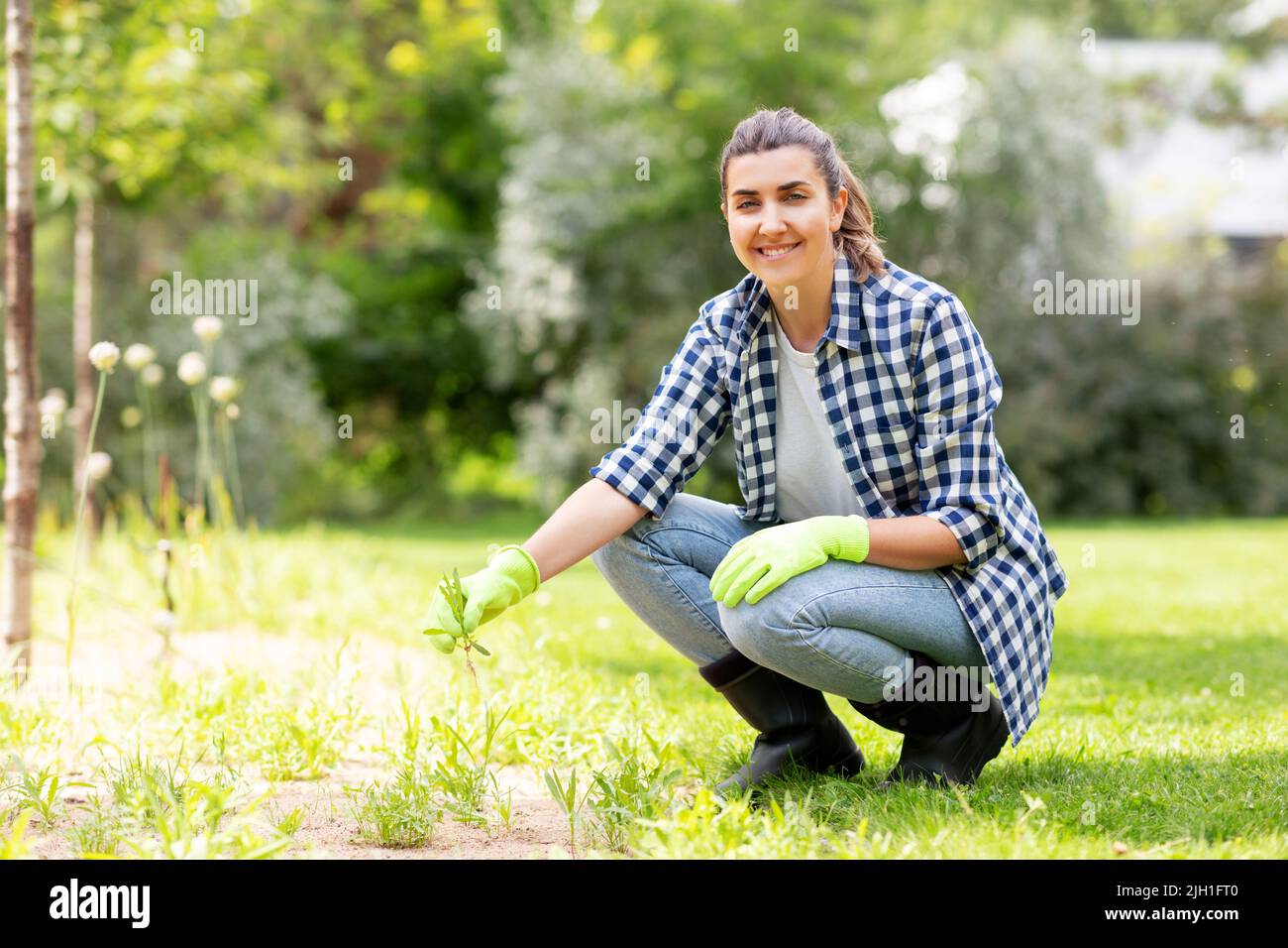 People weed weeding hi-res stock photography and images - Alamy