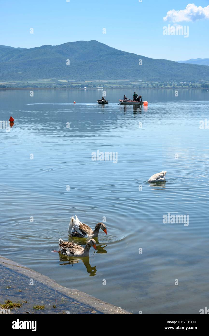 Limni volvi hi-res stock photography and images - Alamy
