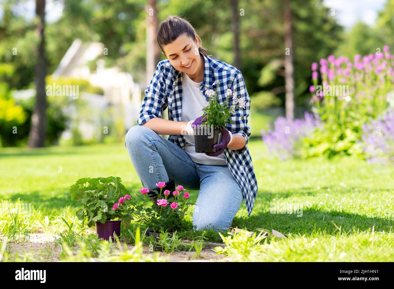 Woman and rose and garden hi-res stock photography and images - Alamy