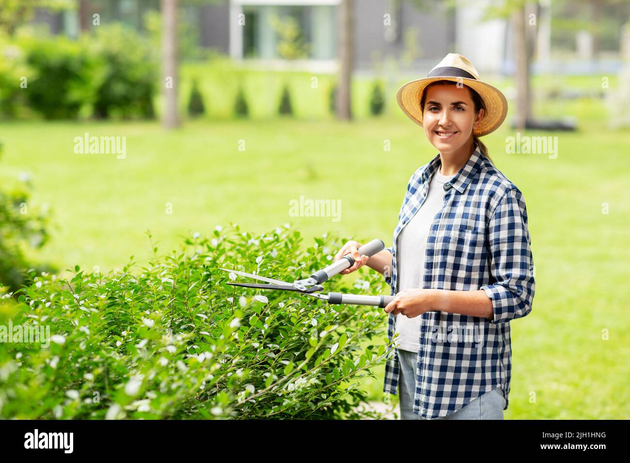 Suburban tree prune hi-res stock photography and images - Alamy