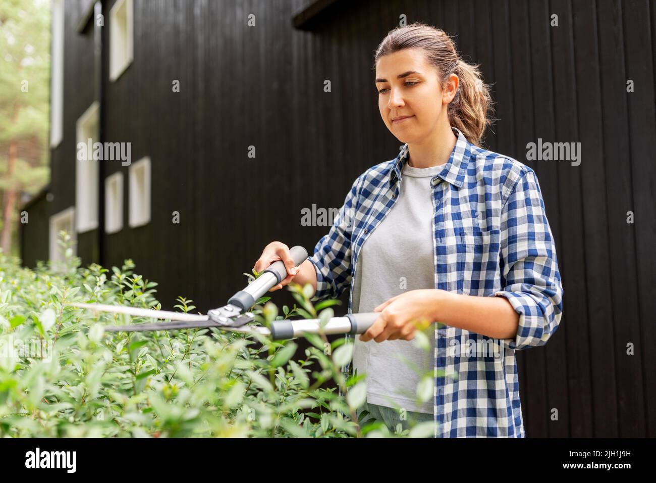 woman with pruner cutting branches at garden Stock Photo - Alamy
