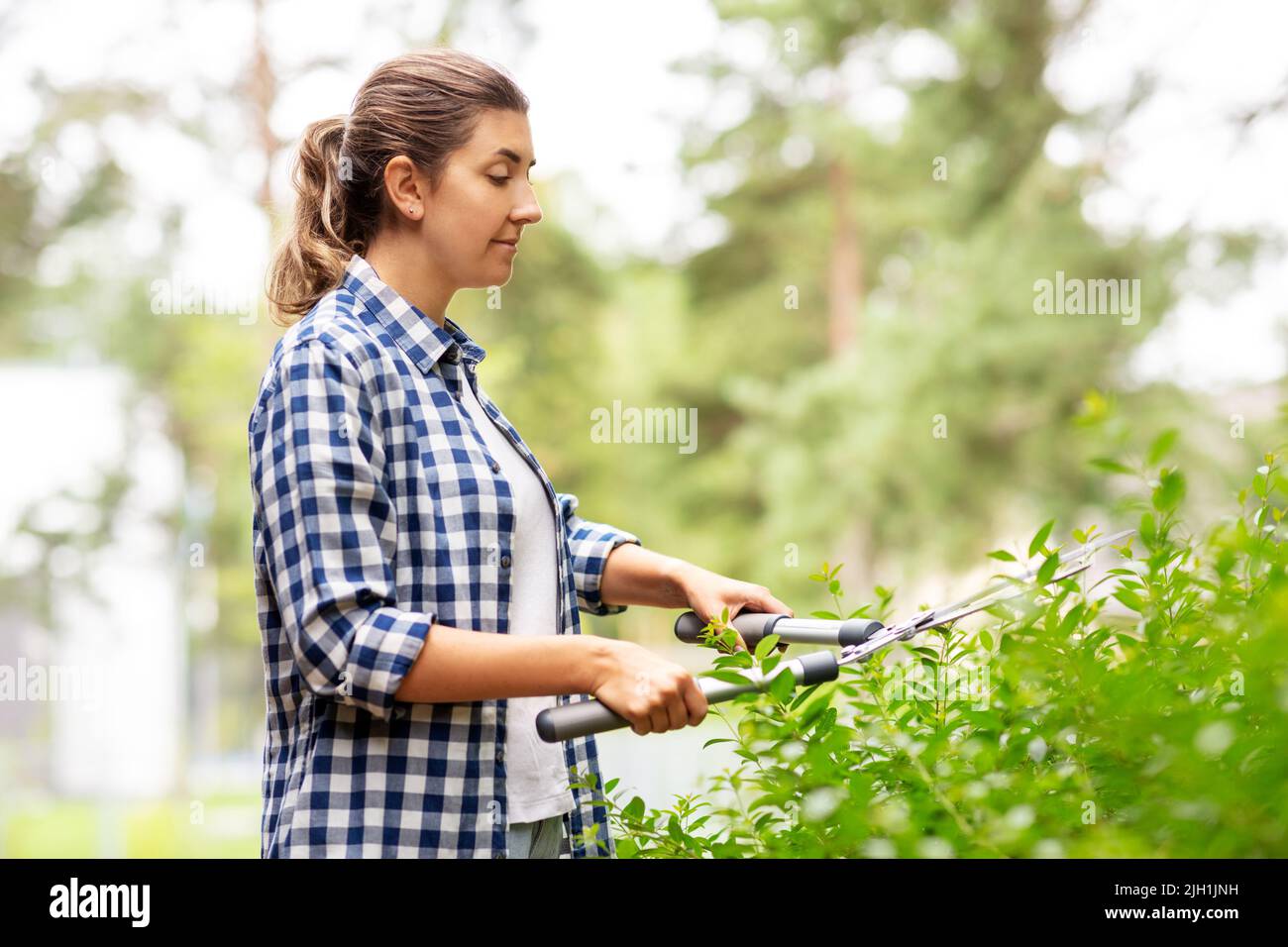 Suburban tree prune hi-res stock photography and images - Alamy