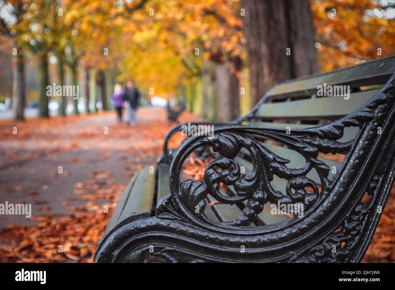 Autumn concept, bench in Greenwich park, London Stock Photo - Alamy