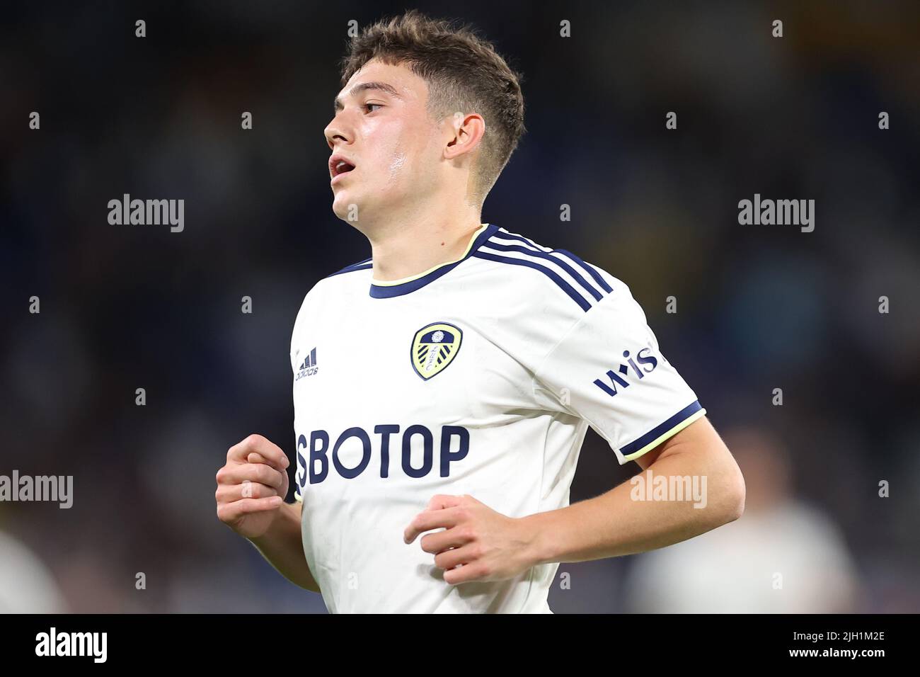 Daniel James of Leeds United looks on Stock Photo - Alamy