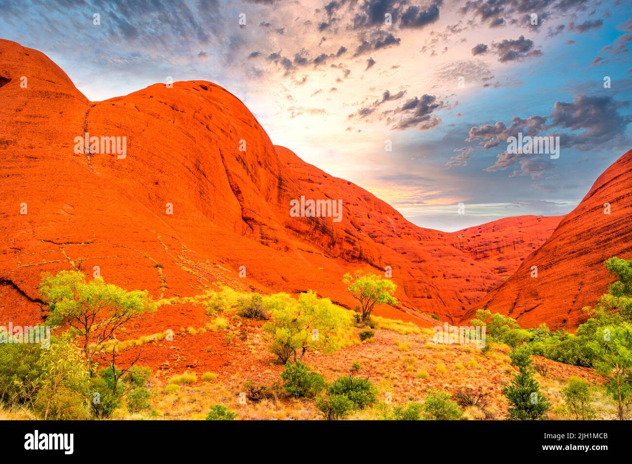Outback Landscape, Nature, in Australia Stock Photo - Alamy