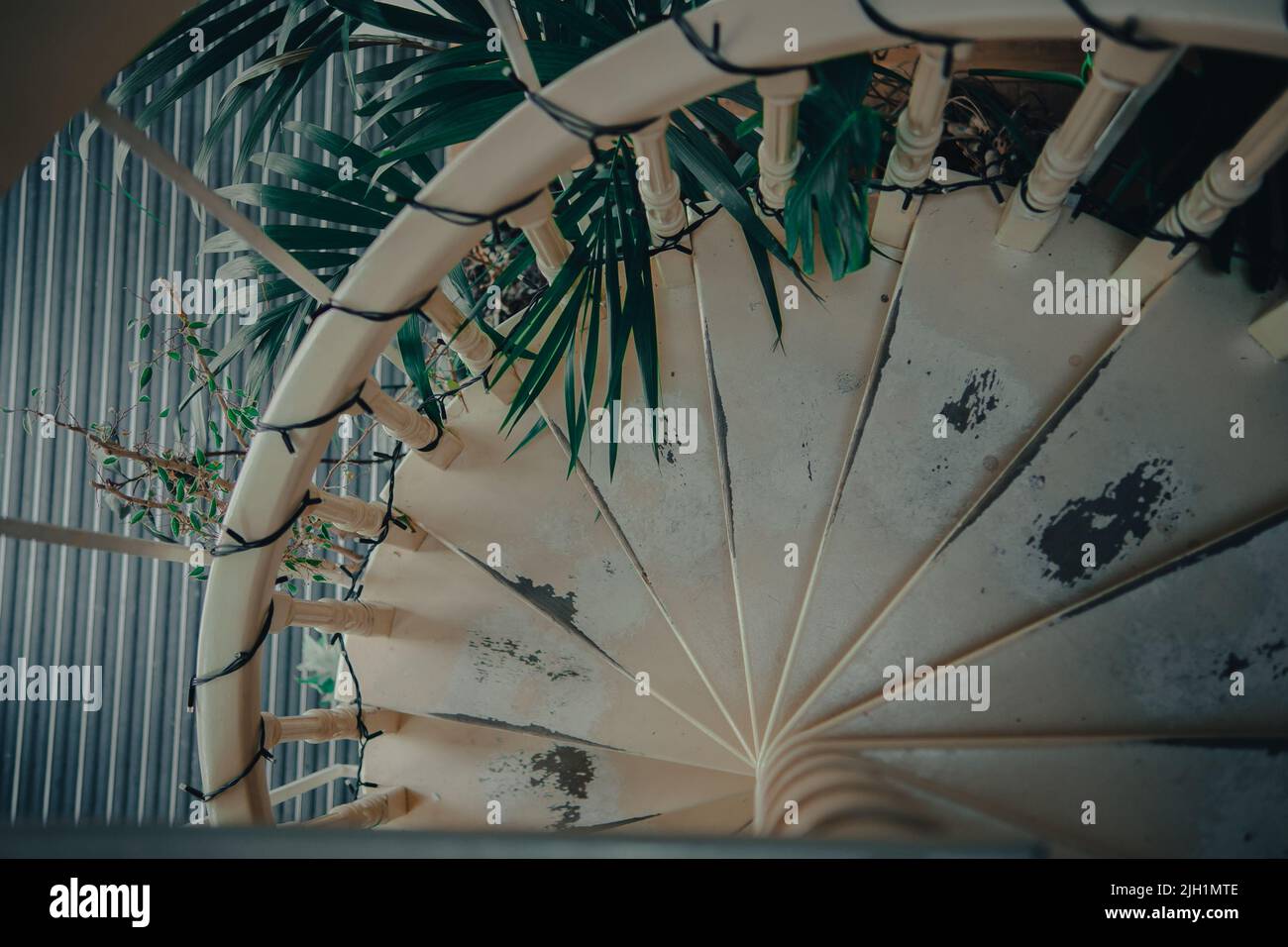 Stairs in coffee shop Stock Photo - Alamy