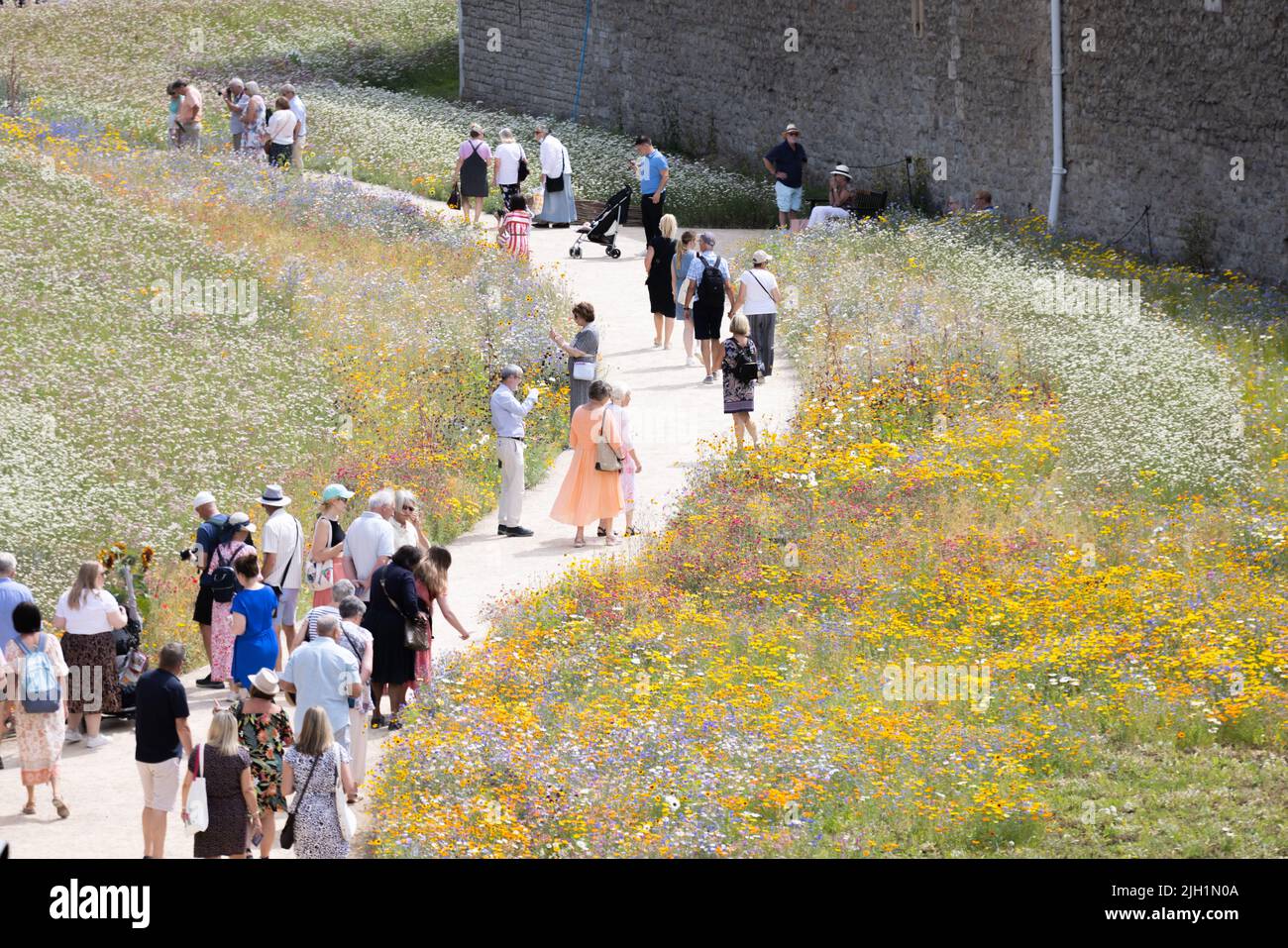 People walk amongst the flower meadows, around the Tower of London ...
