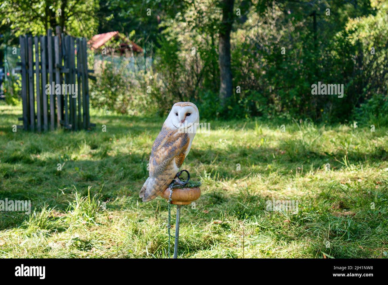 Swan barn hi-res stock photography and images - Alamy