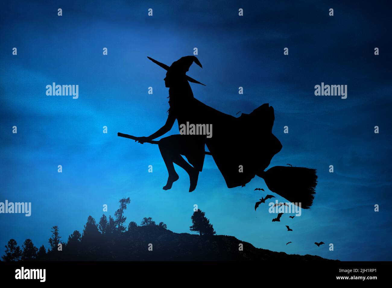 Witch on the broom . Mixed media Stock Photo - Alamy