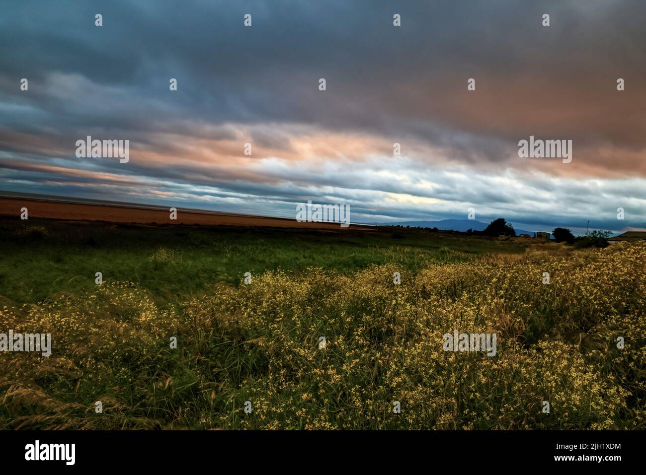 Tràchd Romhra - Solway Firth Stock Photo - Alamy