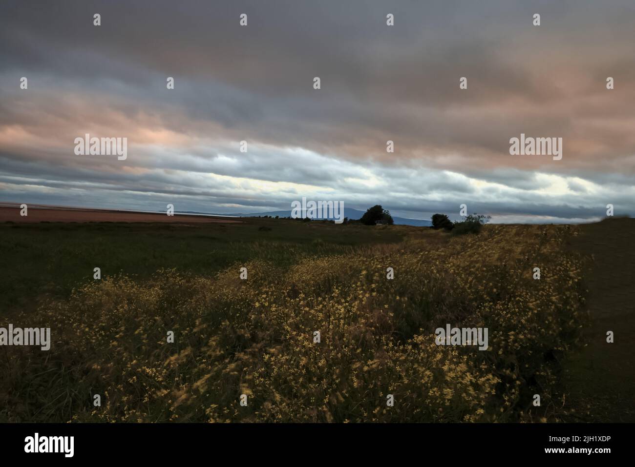 Solway firth river eden hi-res stock photography and images - Alamy