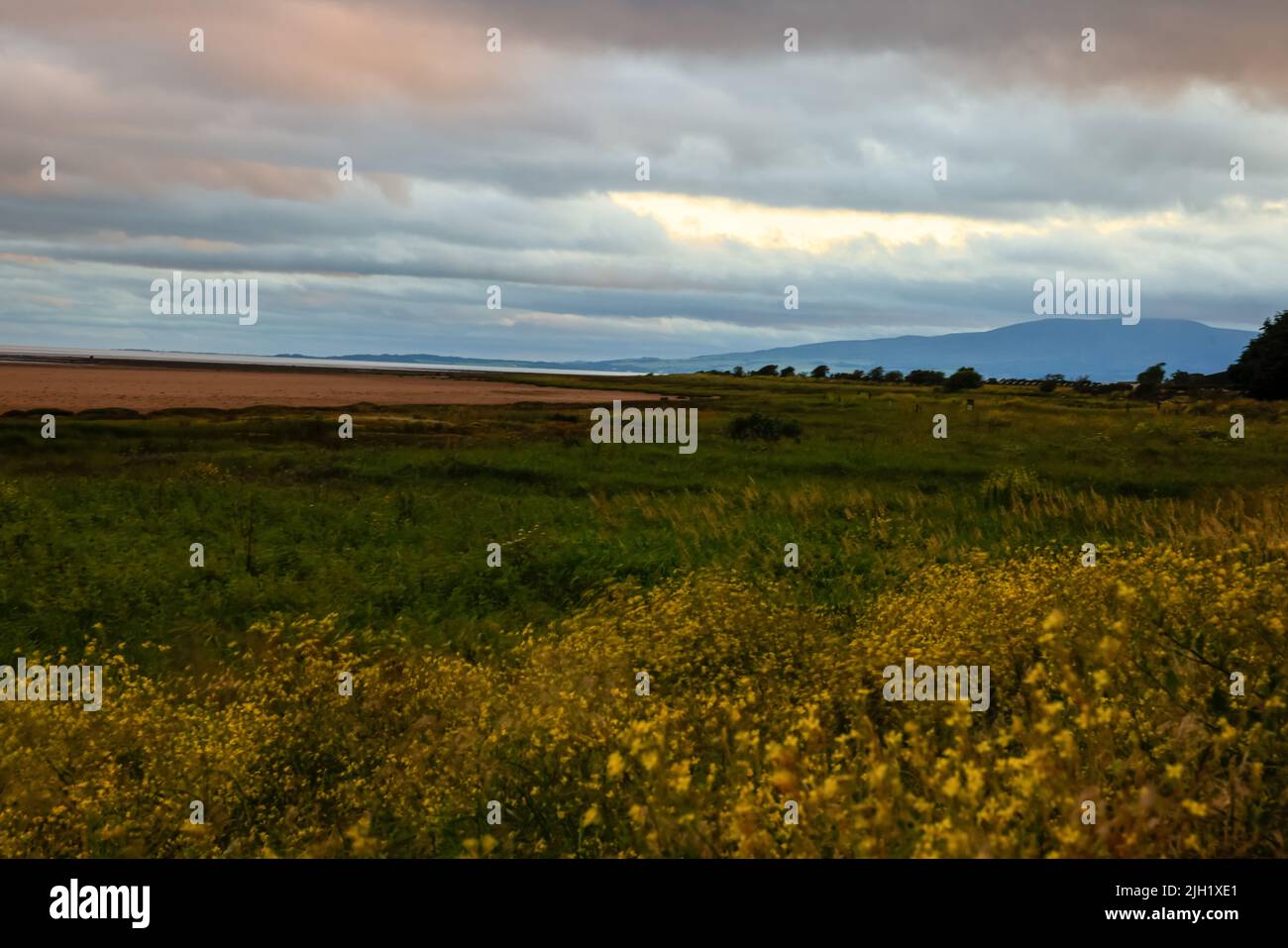Tràchd Romhra - Solway Firth Stock Photo - Alamy