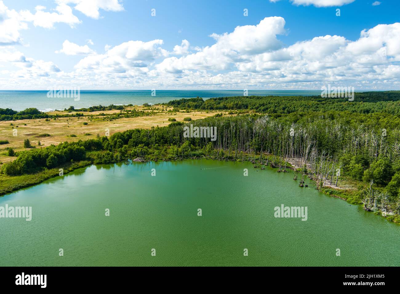 Beautiful aerial view of lake Plaze in Klaipeda district, where bird ...