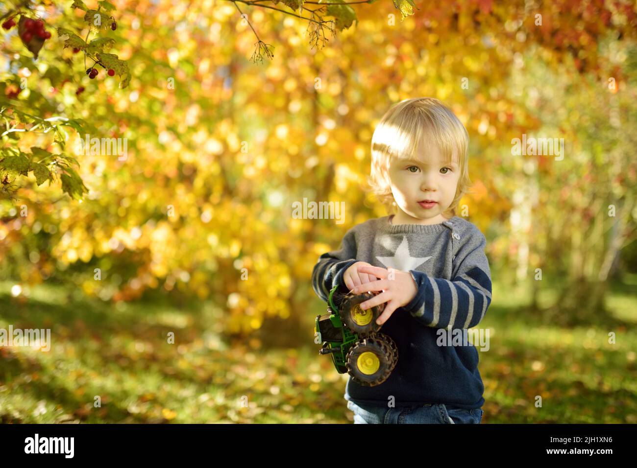Funny toddler boy having fun outdoors on sunny autumn day. Child ...