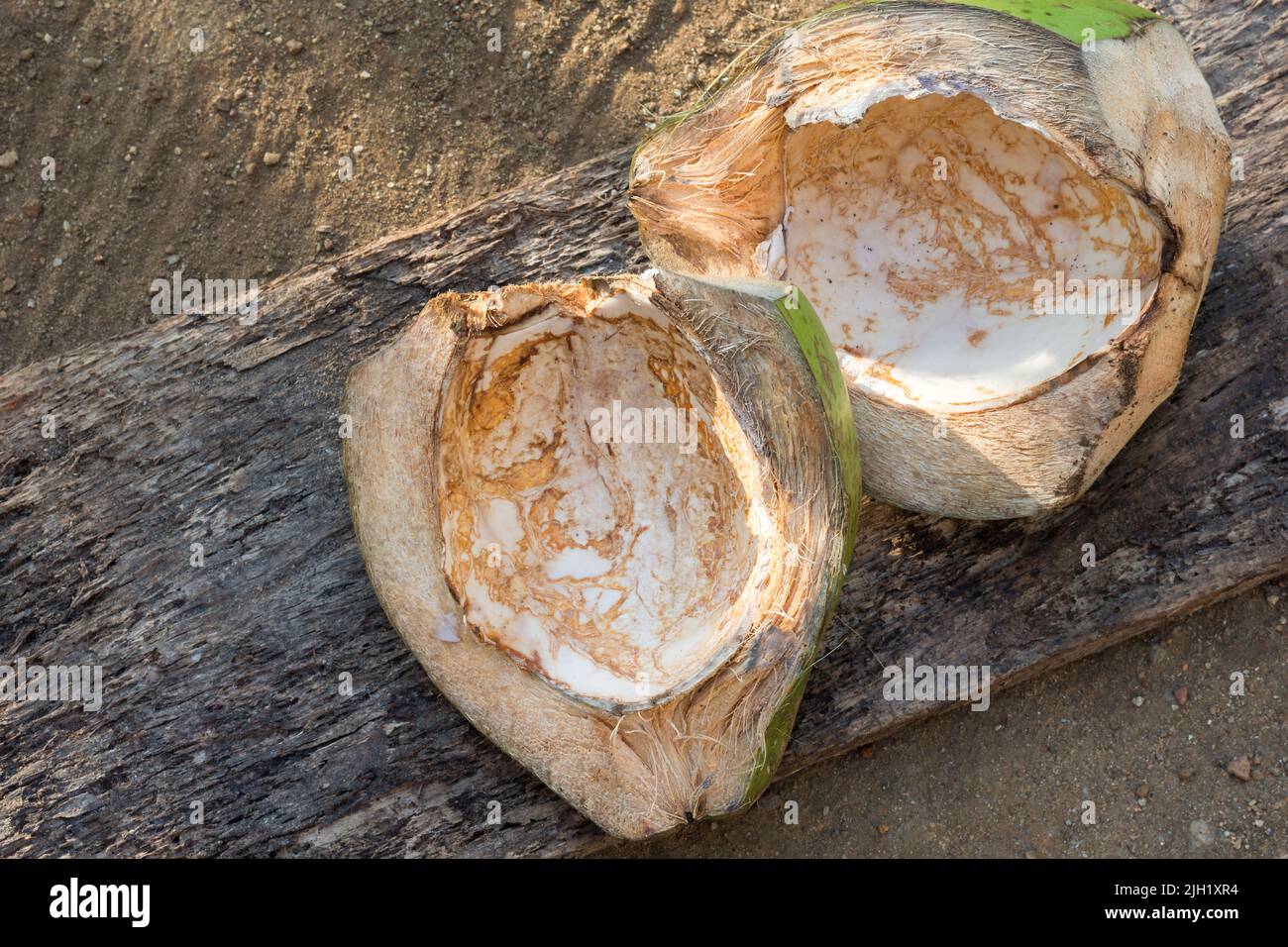 waste coconut husk or coir drying under the sun, also called coconut ...