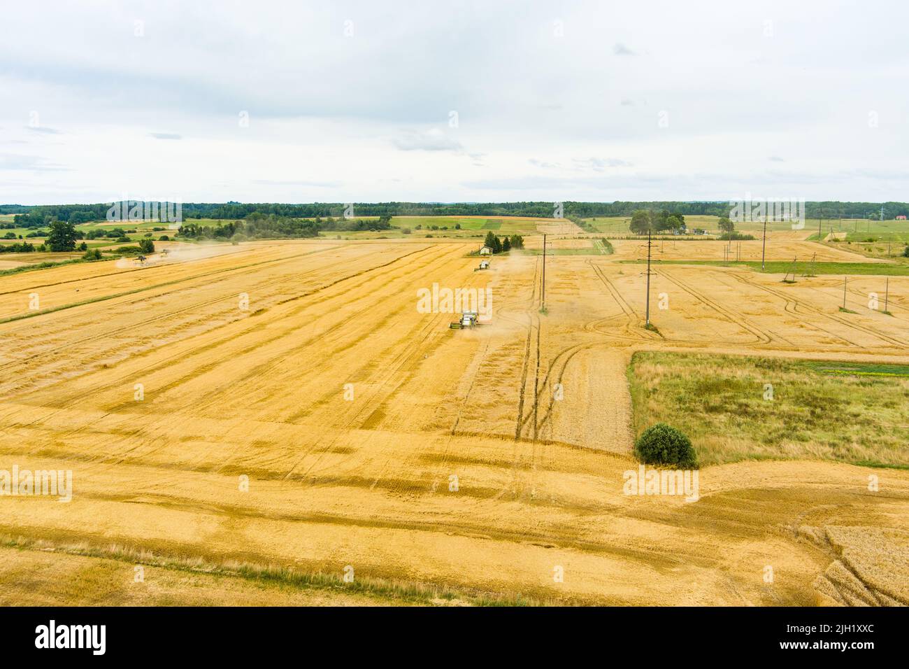 Aerial view of agricultural parcels of different crops. Hay bale fields ...