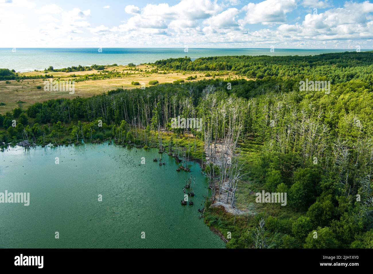 Beautiful aerial view of lake Plaze in Klaipeda district, where bird ...