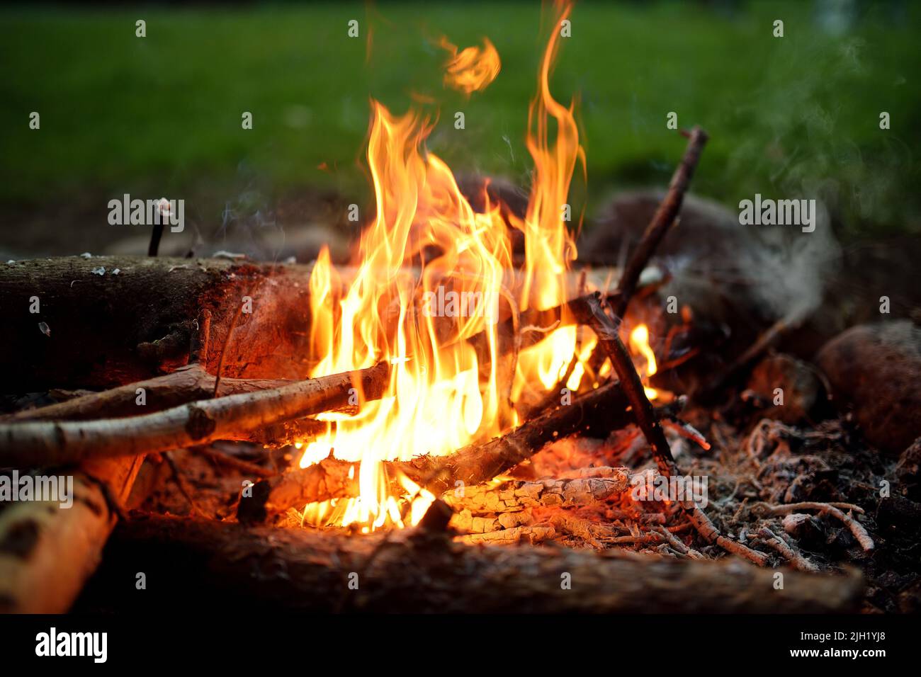 Forest bonfire. Having fun at a camp site with family and friends. Fun ...