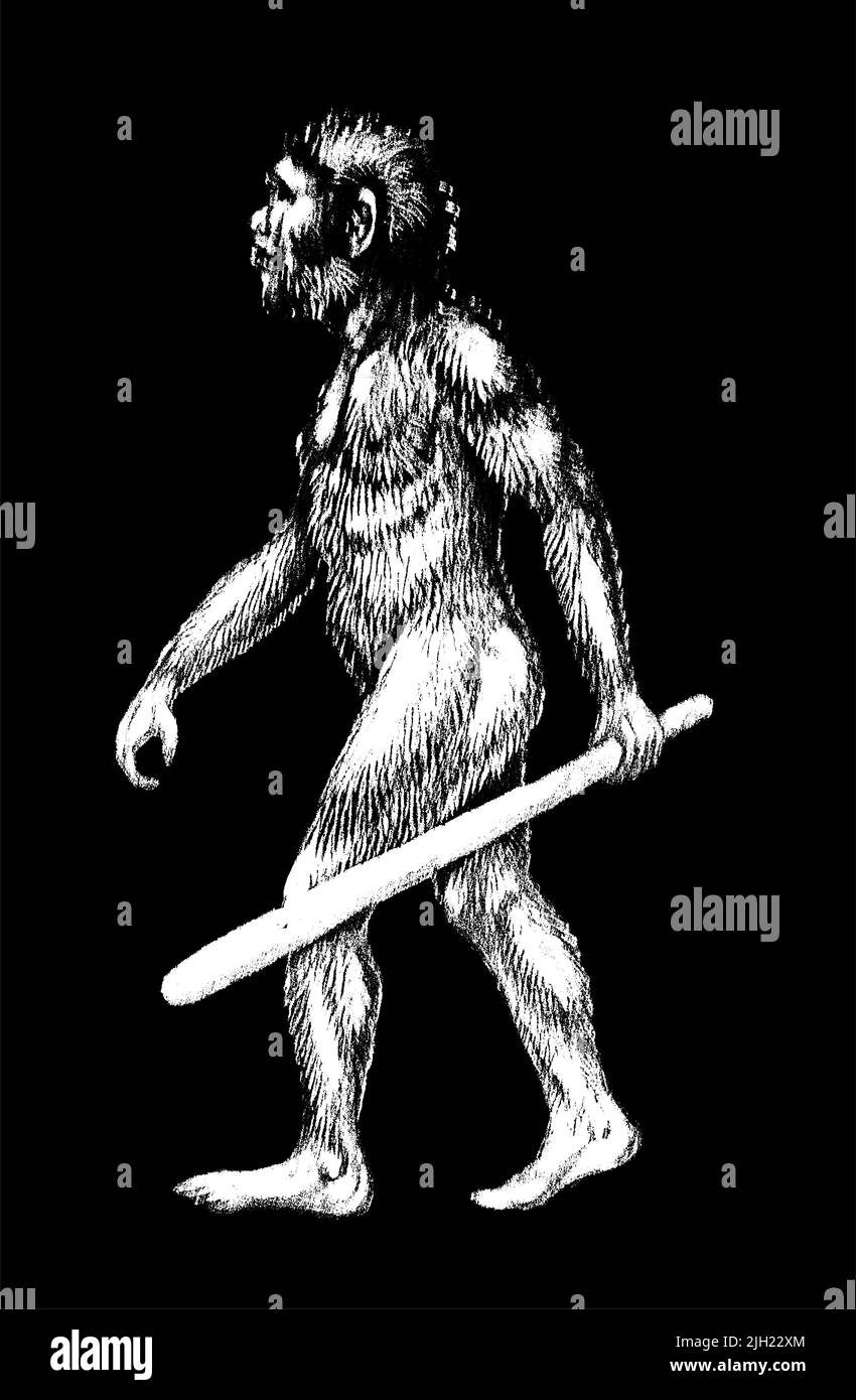 Homo sapiens with a primitive tool. Vector illustration on an isolated ...
