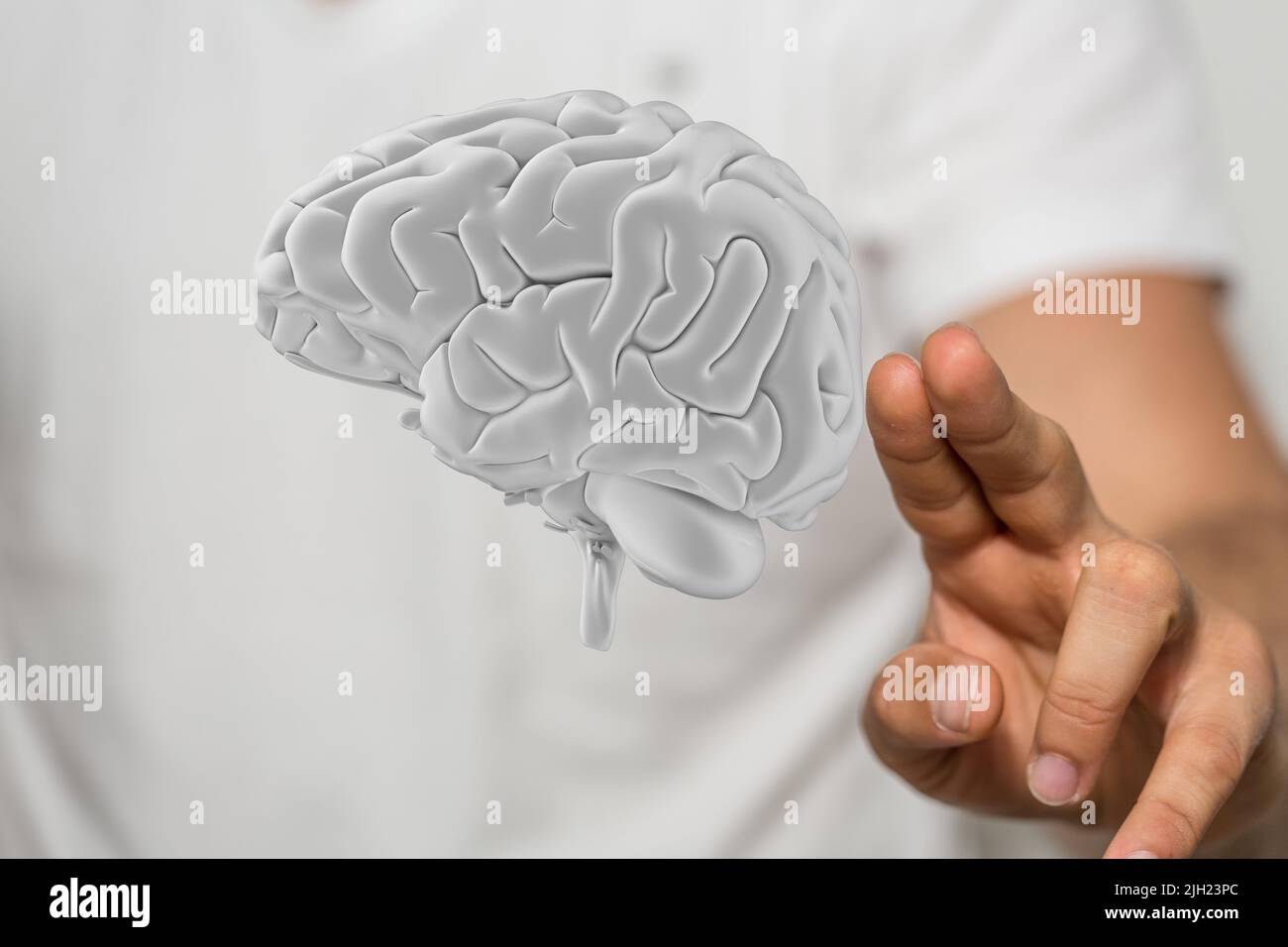 A 3D render of a white human brain near a hand Stock Photo - Alamy