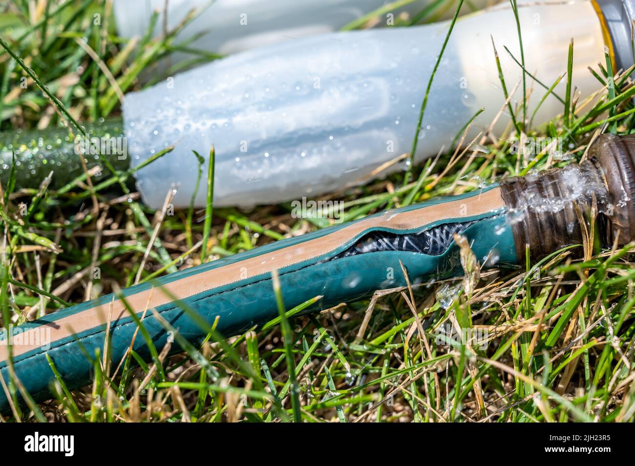 Frayed garden hose with burst section spraying water from the point of ...