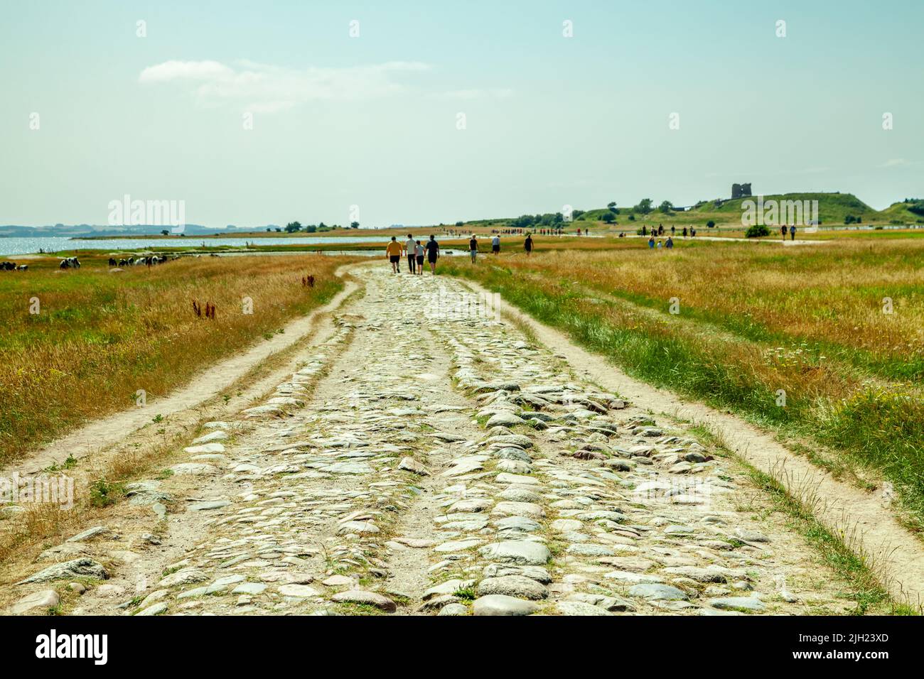 Castle ruin Ronde Mols Bjerge Knebel Denmark Stock Photo - Alamy