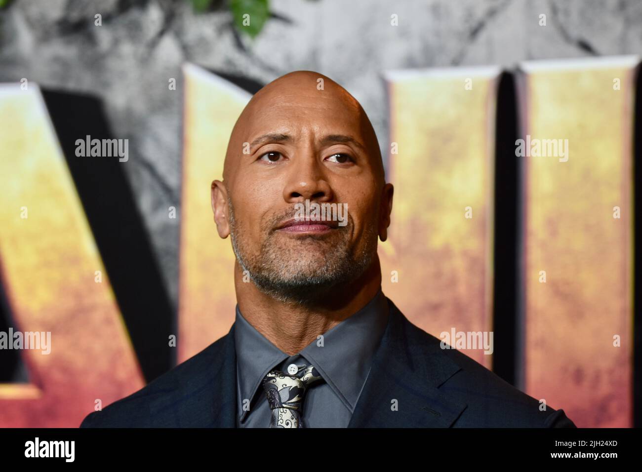 Dwayne johnson carpet hi-res stock photography and images - Alamy
