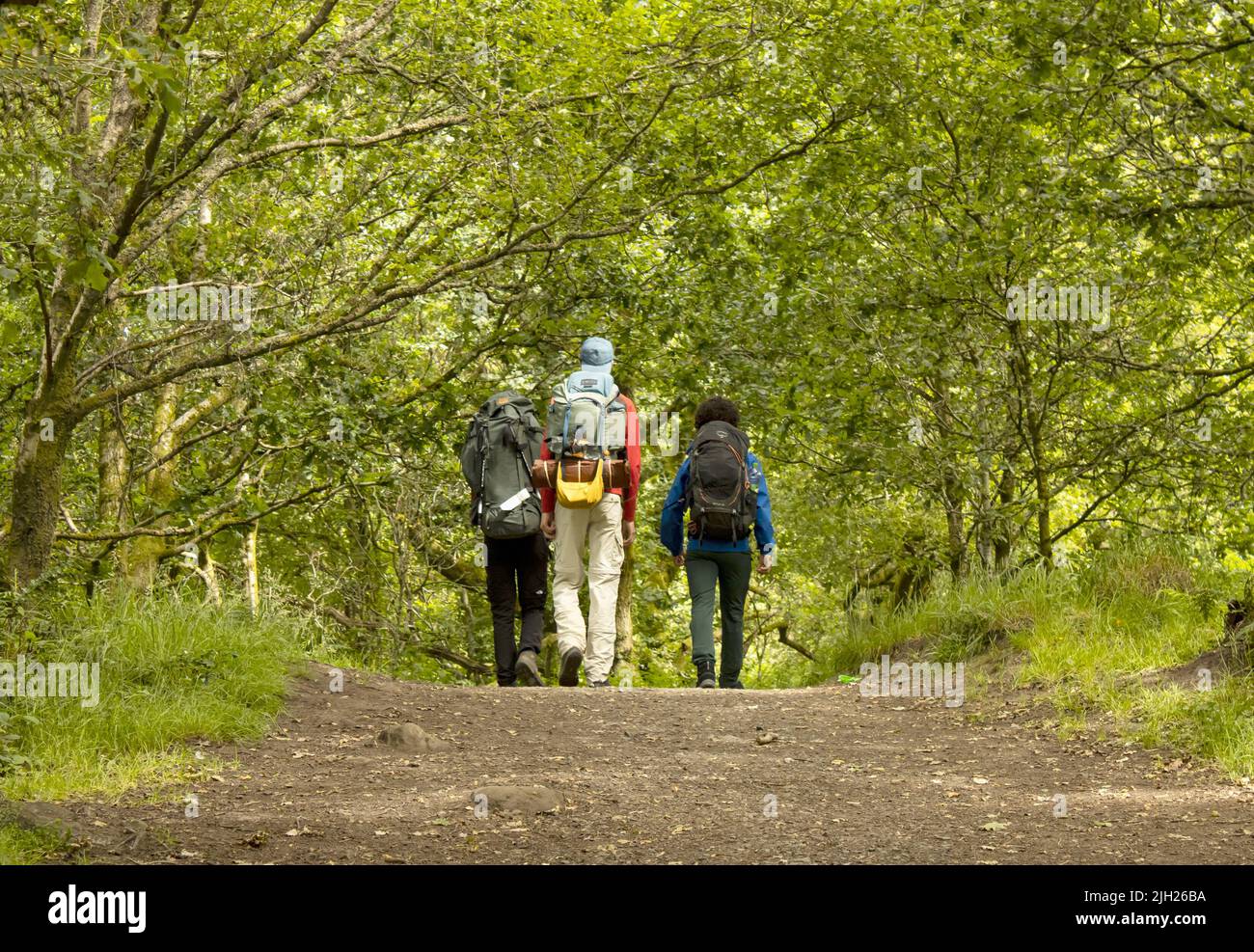 West Highland Way - Milngavie to Drymen Stock Photo - Alamy