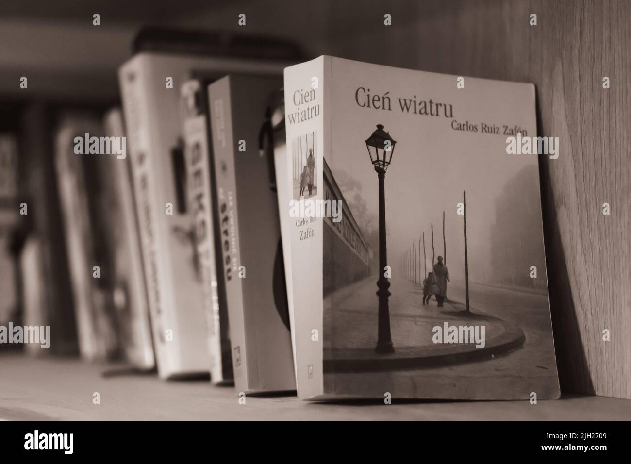 Shadow wind carlos ruiz zafon hi-res stock photography and images - Alamy