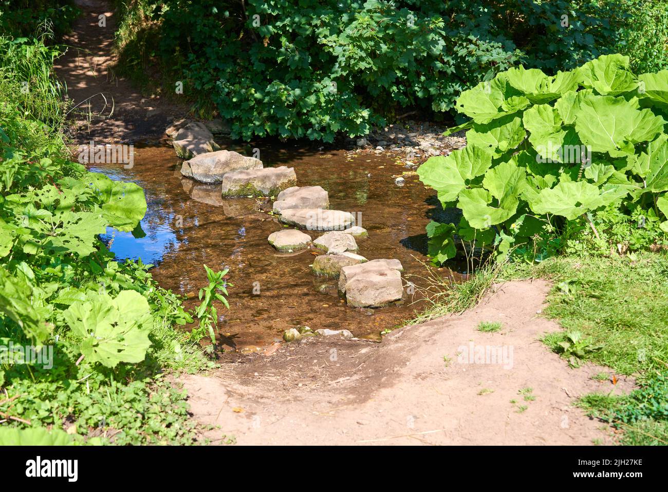 Stepping stones in a shallow stream Stock Photo - Alamy