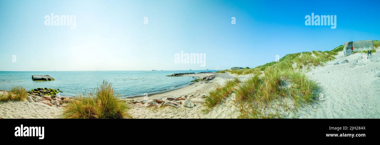 View over the beach and the Ocean in Skagen, Denmark Stock Photo - Alamy