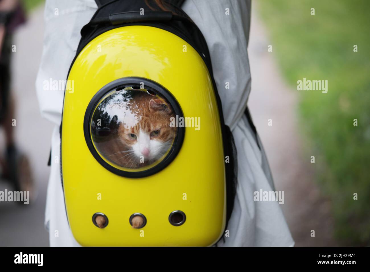 Plastic backpack hi-res stock photography and images - Alamy