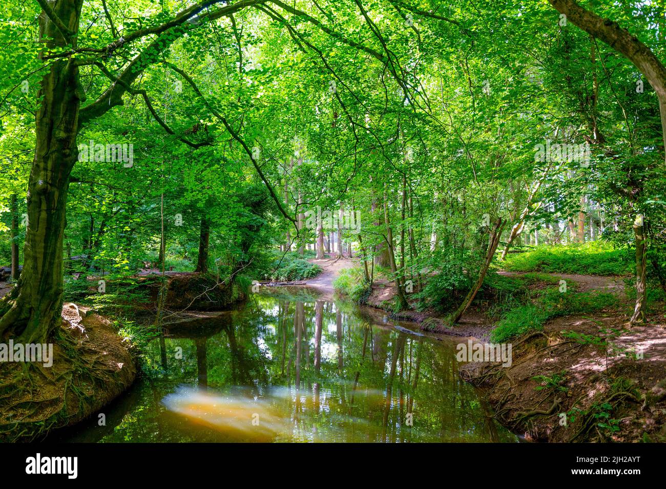 Coombe abbey park hi-res stock photography and images - Alamy