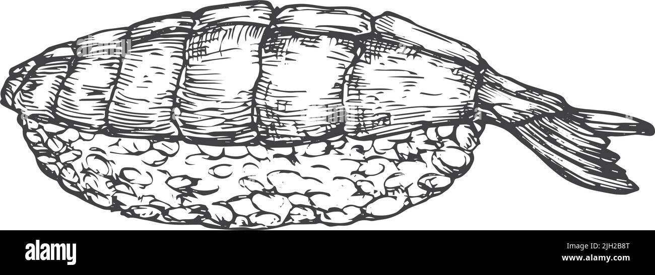 Sushi Abstract Vector Illustration. Hand Drawn Asian Food Sashimi Rise ...