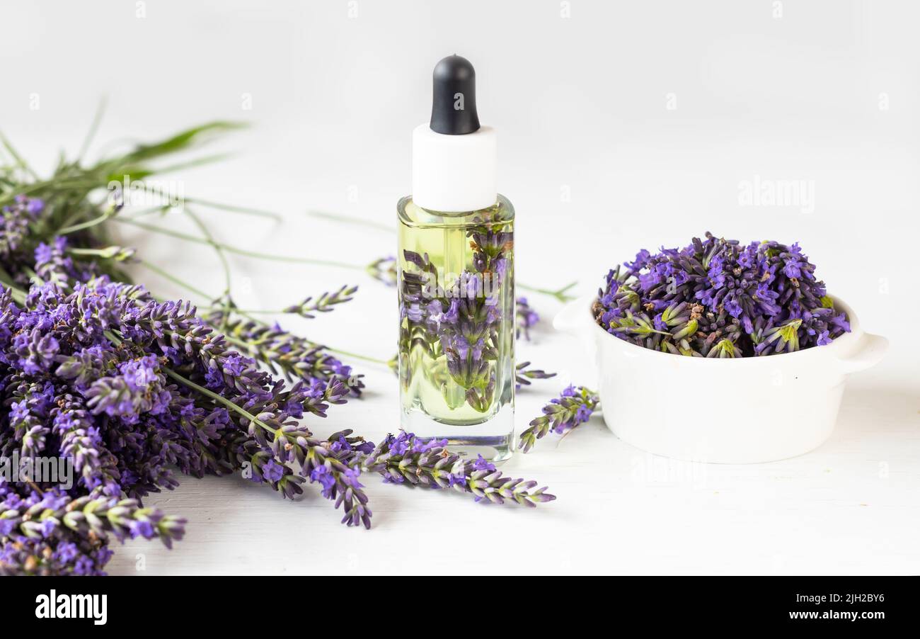 Glass bottle of Lavender essential oil with fresh lavender flowers and ...