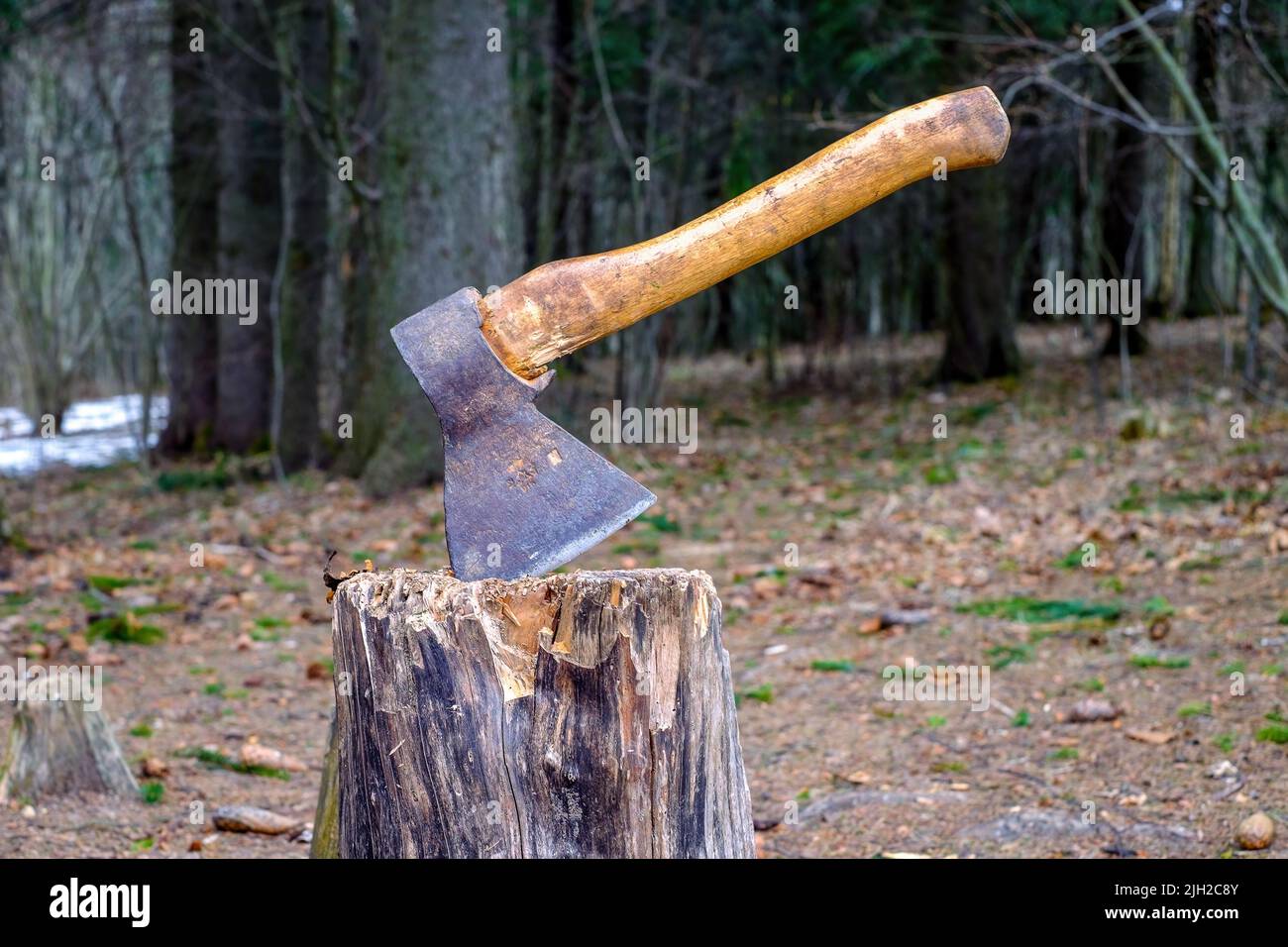 Axe in the stump hi-res stock photography and images - Alamy