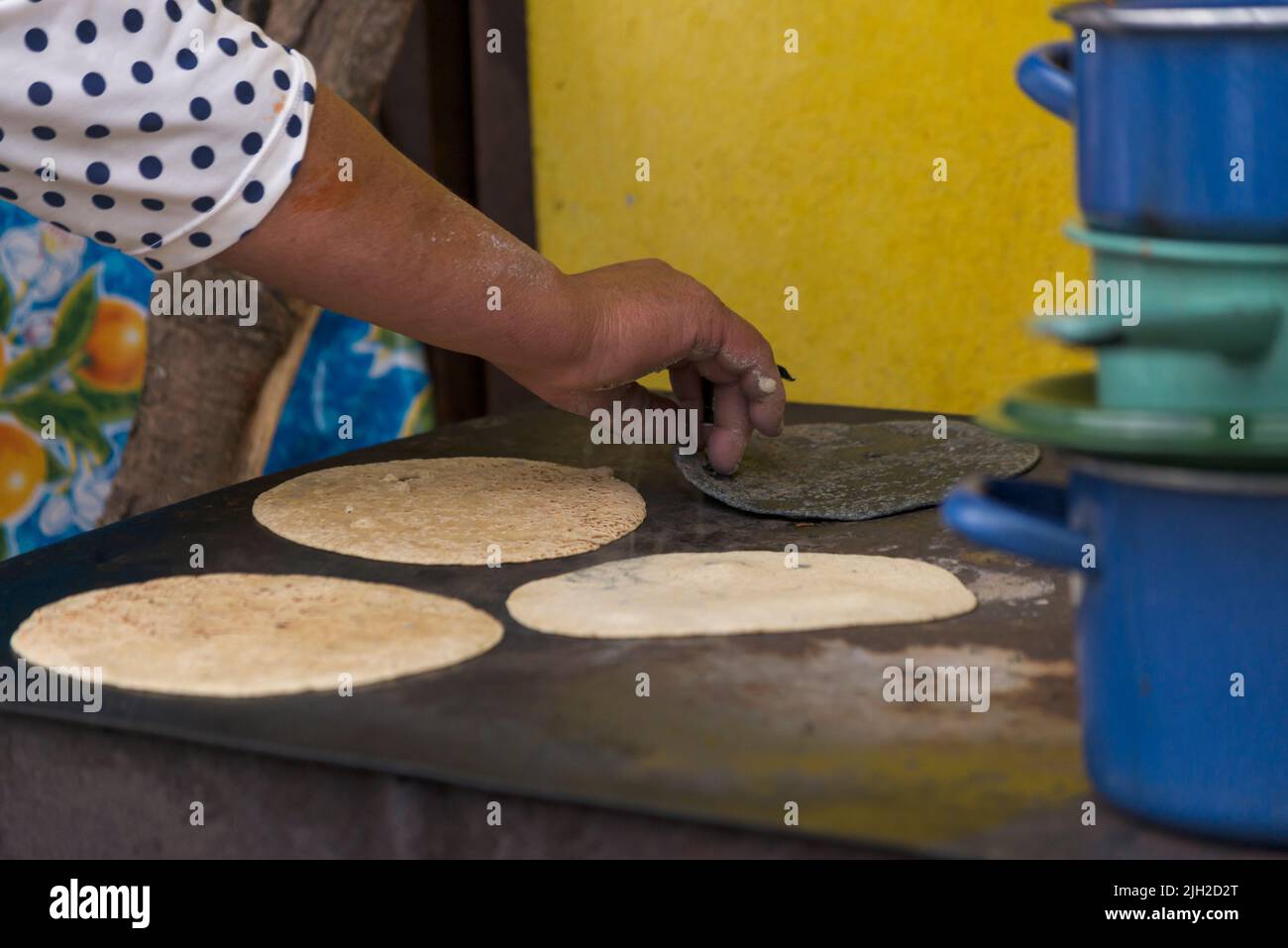 Mexican woman preparing cooking some tortillas on a firewood griddle ...