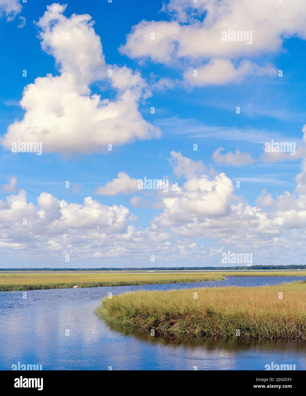 Walker Creek , Amelia Island , Florida Stock Photo - Alamy