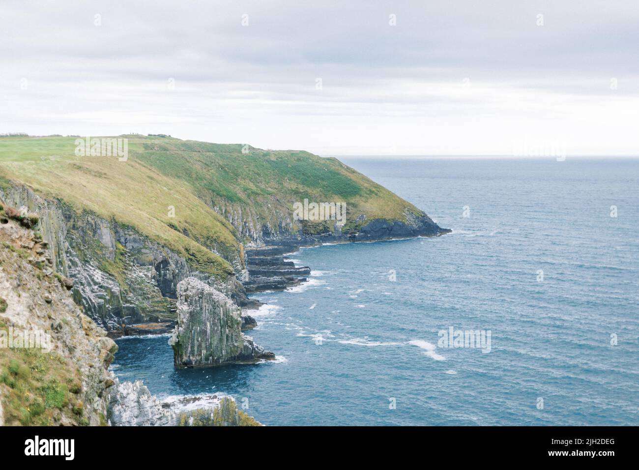 Cork st patricks day ireland hi-res stock photography and images - Alamy