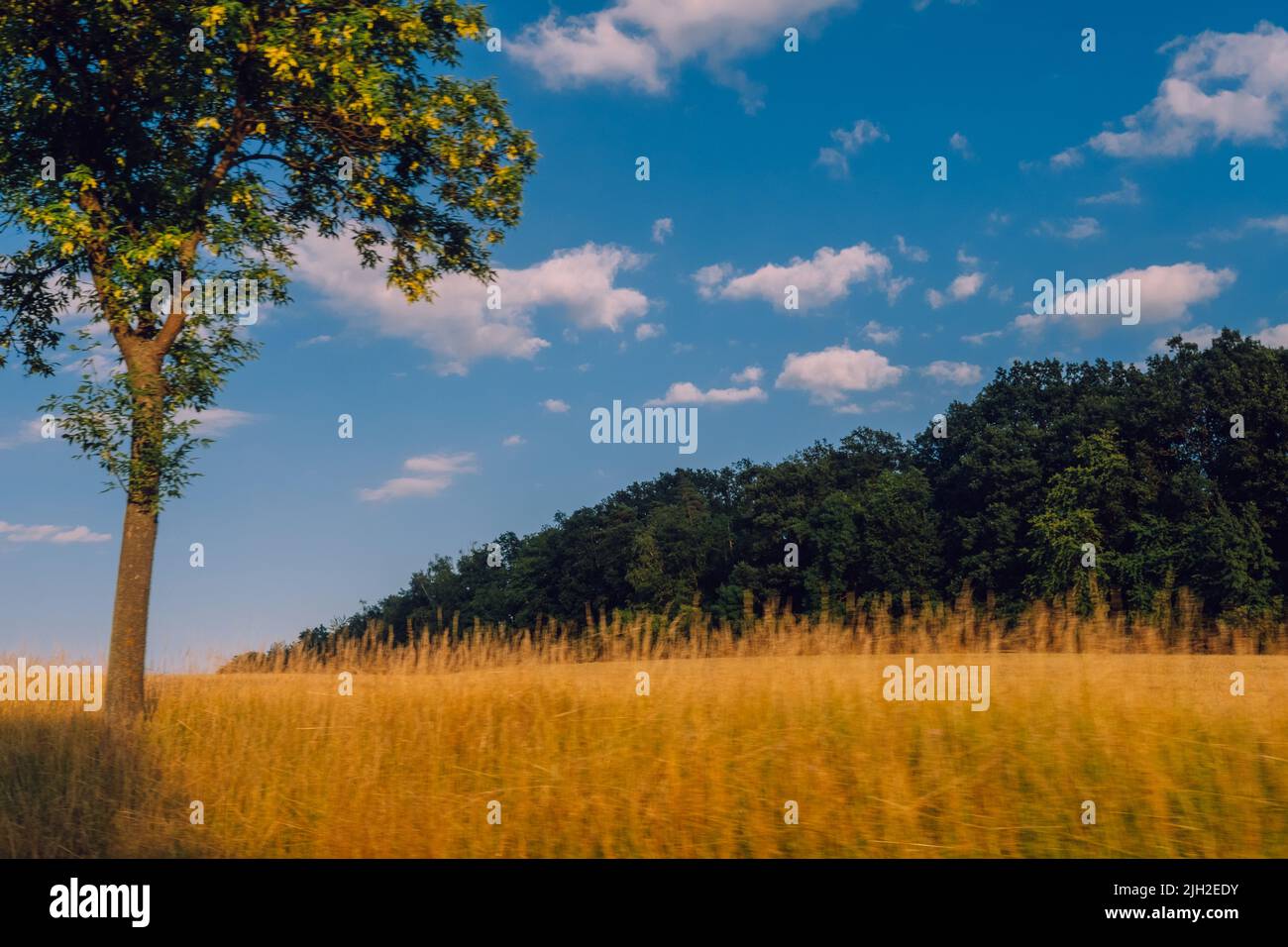 scenic landscape in Wroclaw, Poland Stock Photo - Alamy