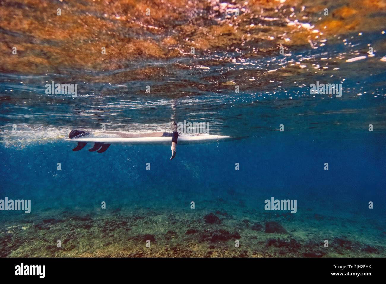 Underwater view of surfer lying on surfboard Stock Photo - Alamy