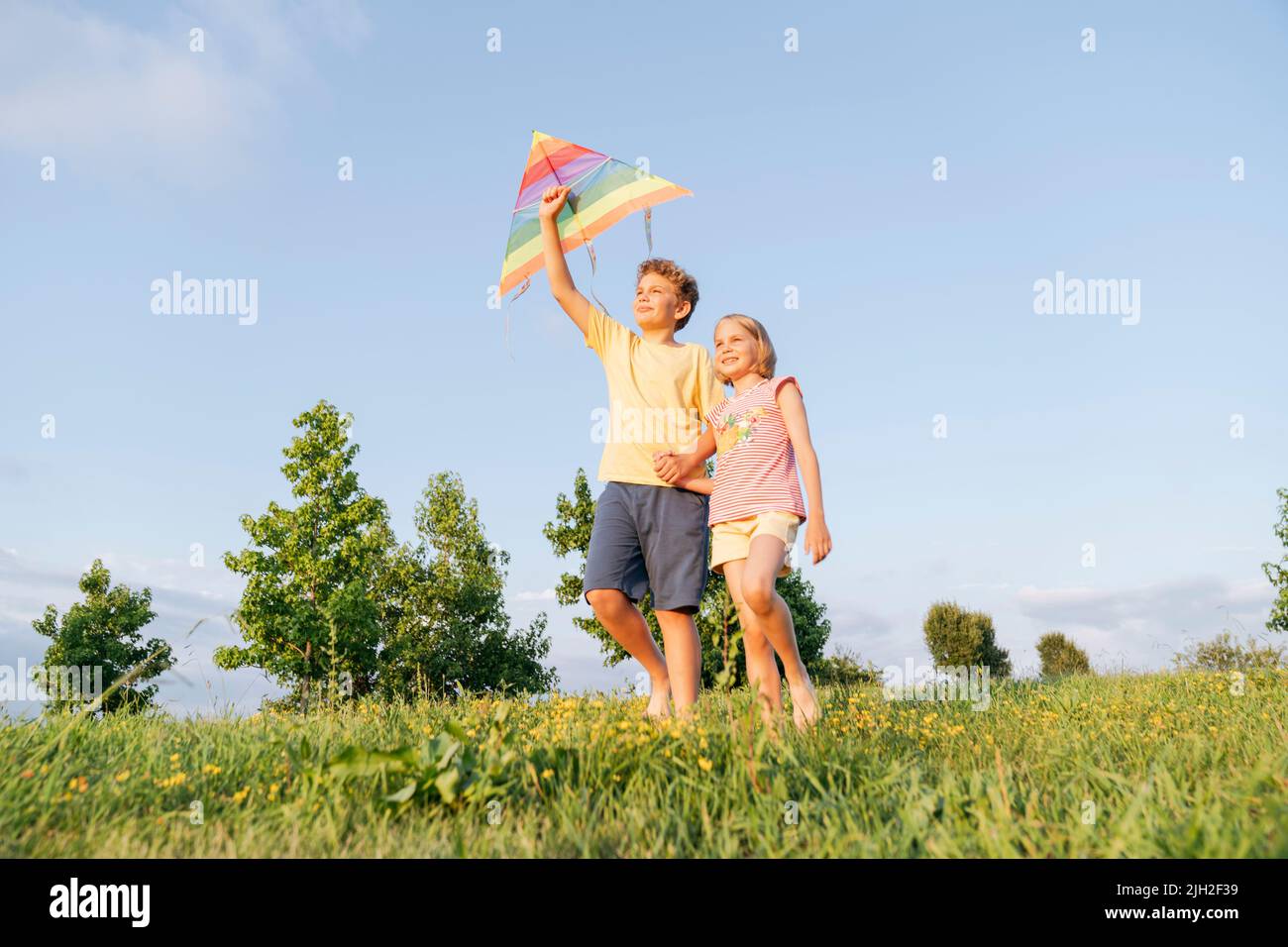 Brother and sister with a kite walking on the green grass Stock Photo ...