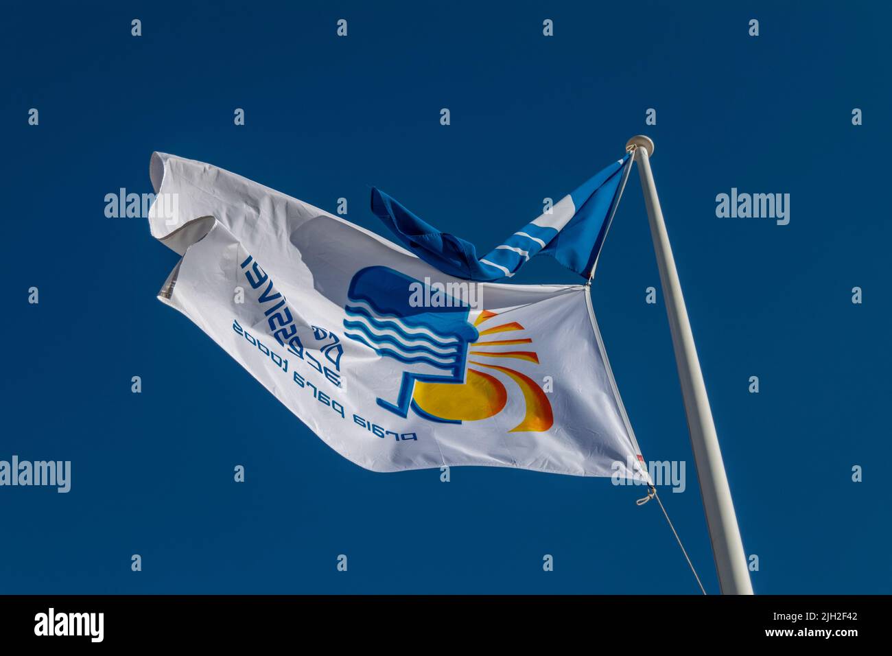 Inclusive beach flag, traveling with mobility issues, mobility on ...