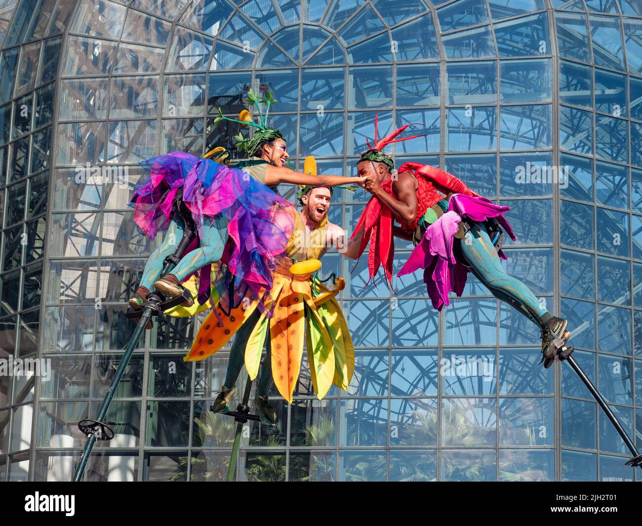 Swaysbloom hi-res stock photography and images - Alamy