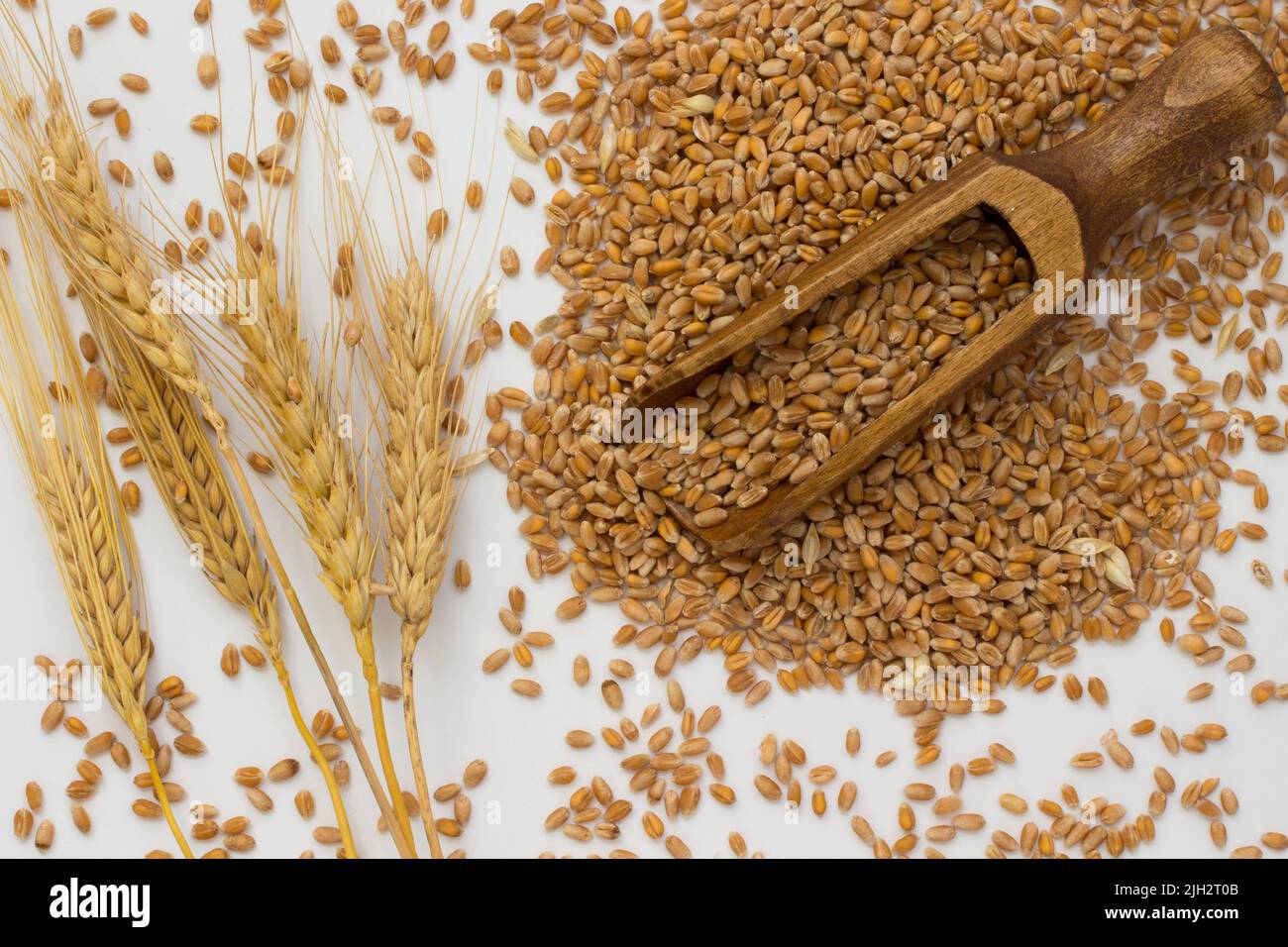 Wheat sticks hi-res stock photography and images - Alamy