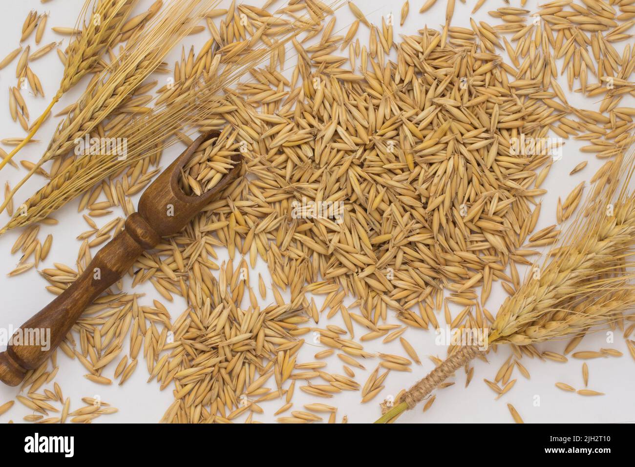 Wheat, barley, rye, and oats hi-res stock photography and images - Alamy