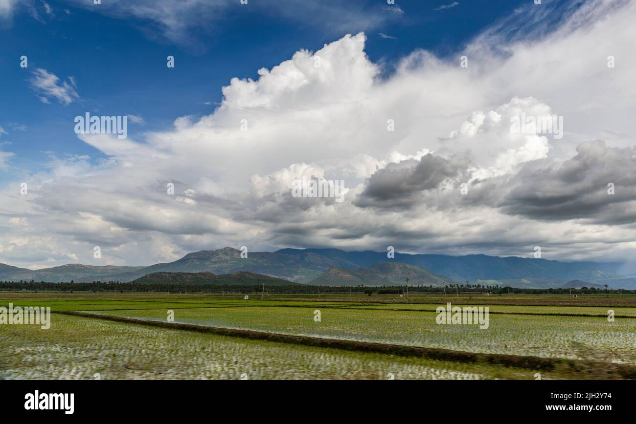 Tamilnadu india hi-res stock photography and images - Alamy